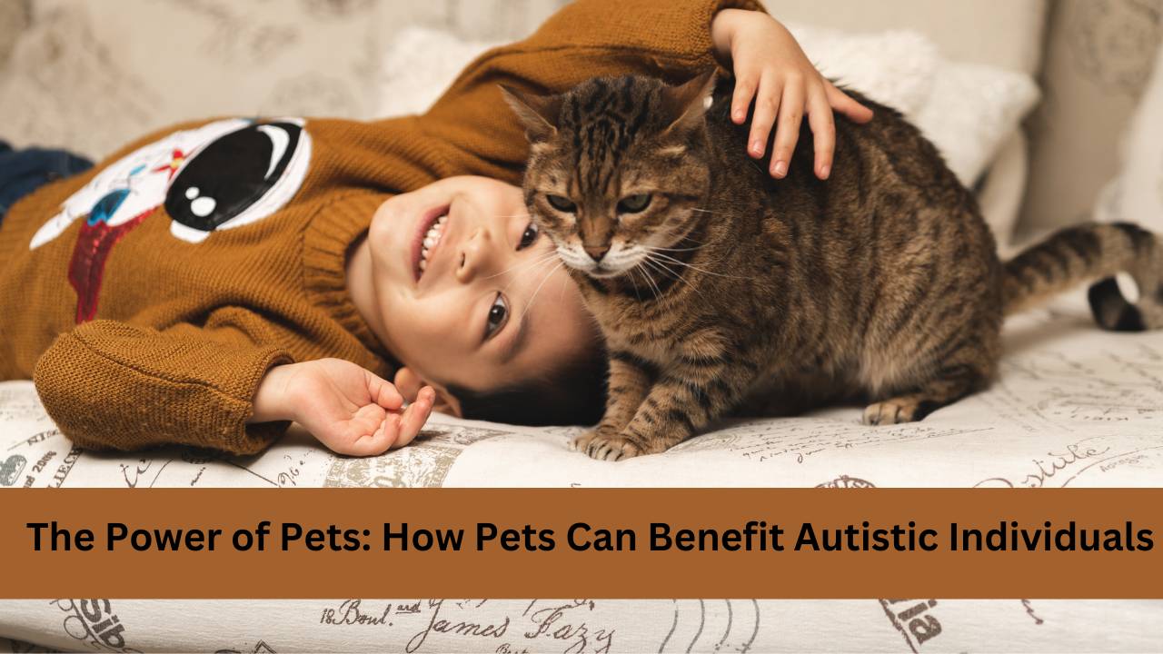 The Power of Pets: How Pets Can Benefit Autistic Individuals