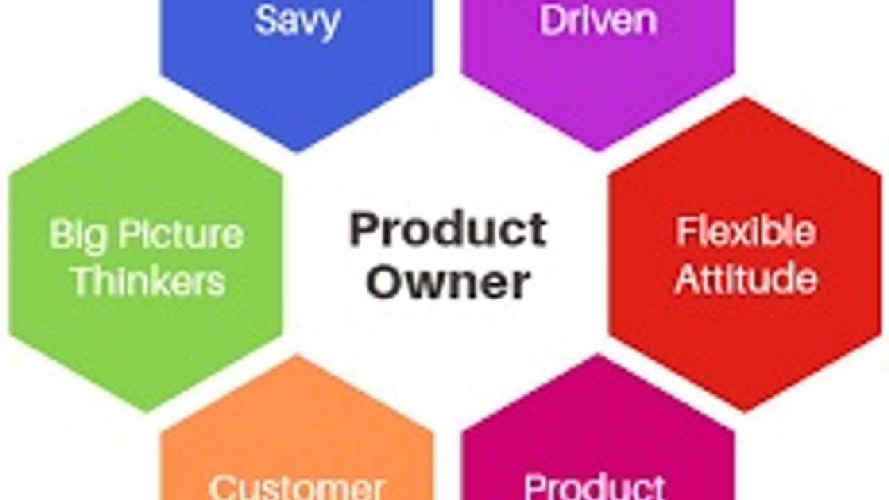 Professional Product Owner Course