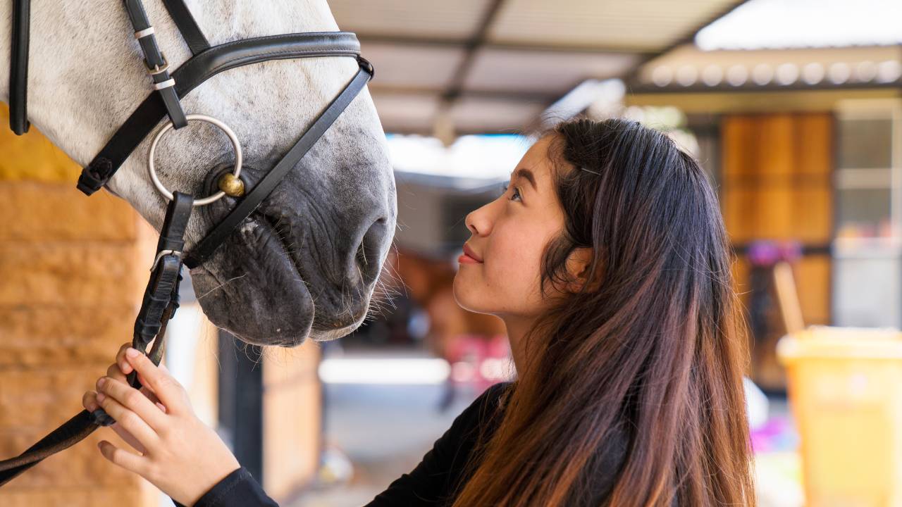 Animal Communication – Talking to and listening to animals