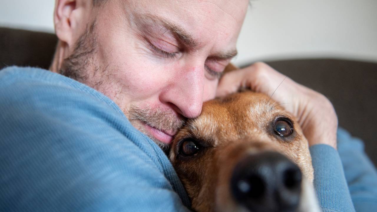 How Animal Communication can help you and your animal