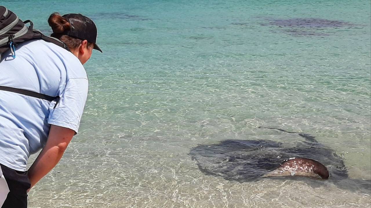 Healing and Animal Communication with Stingrays in Western Australia