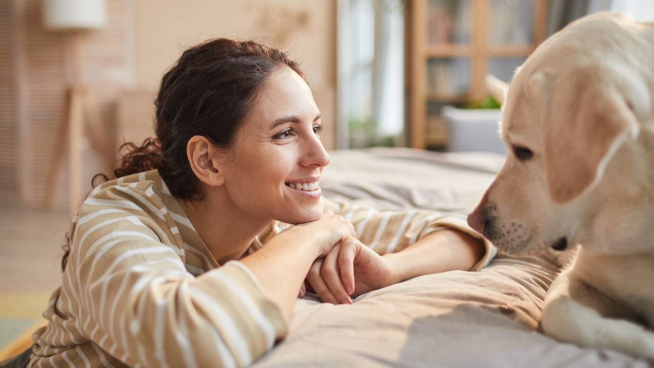 Animal Communication and Healing for Anxious Animals | SSFA