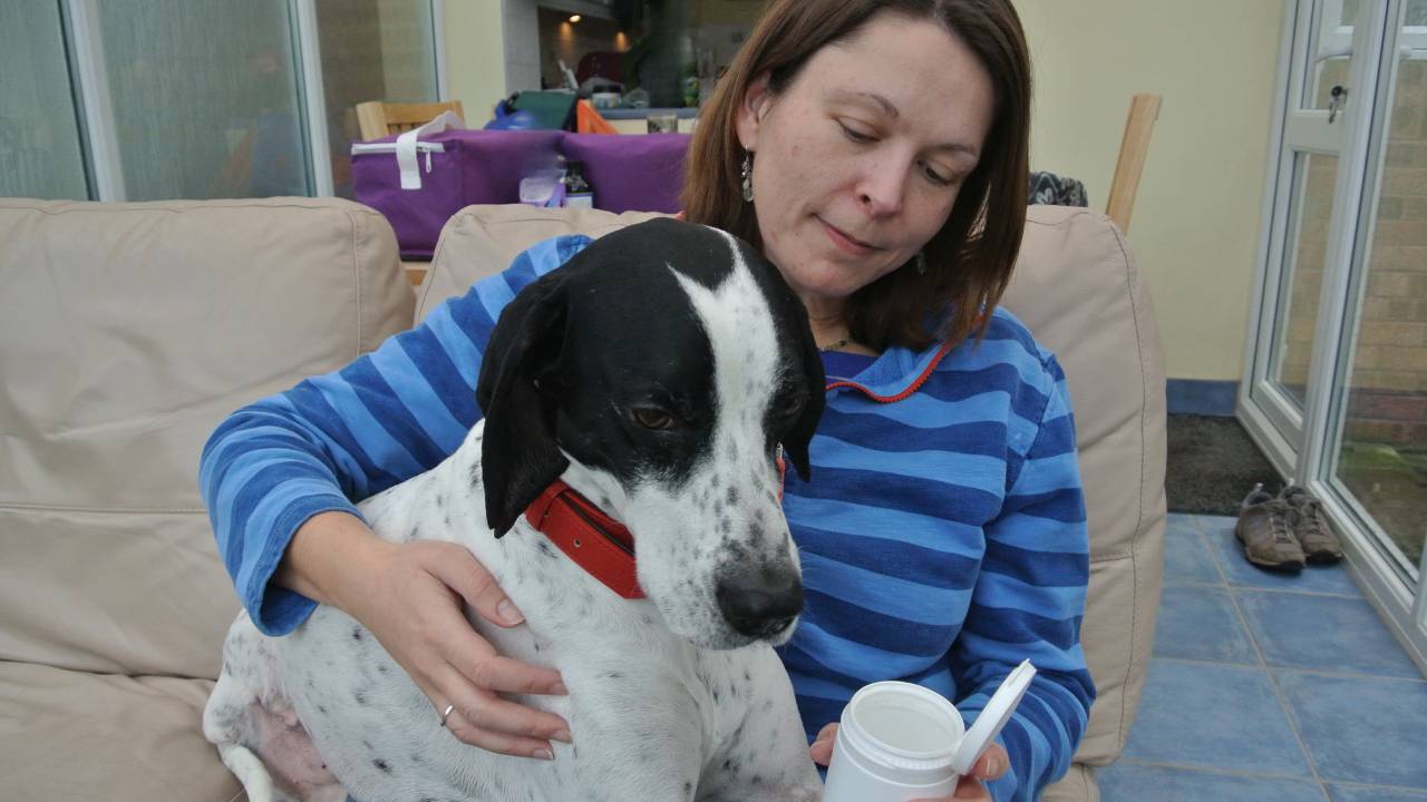 Merlin’s Miraculous Recovery - A Rescue Dog with Gunshot Wounds