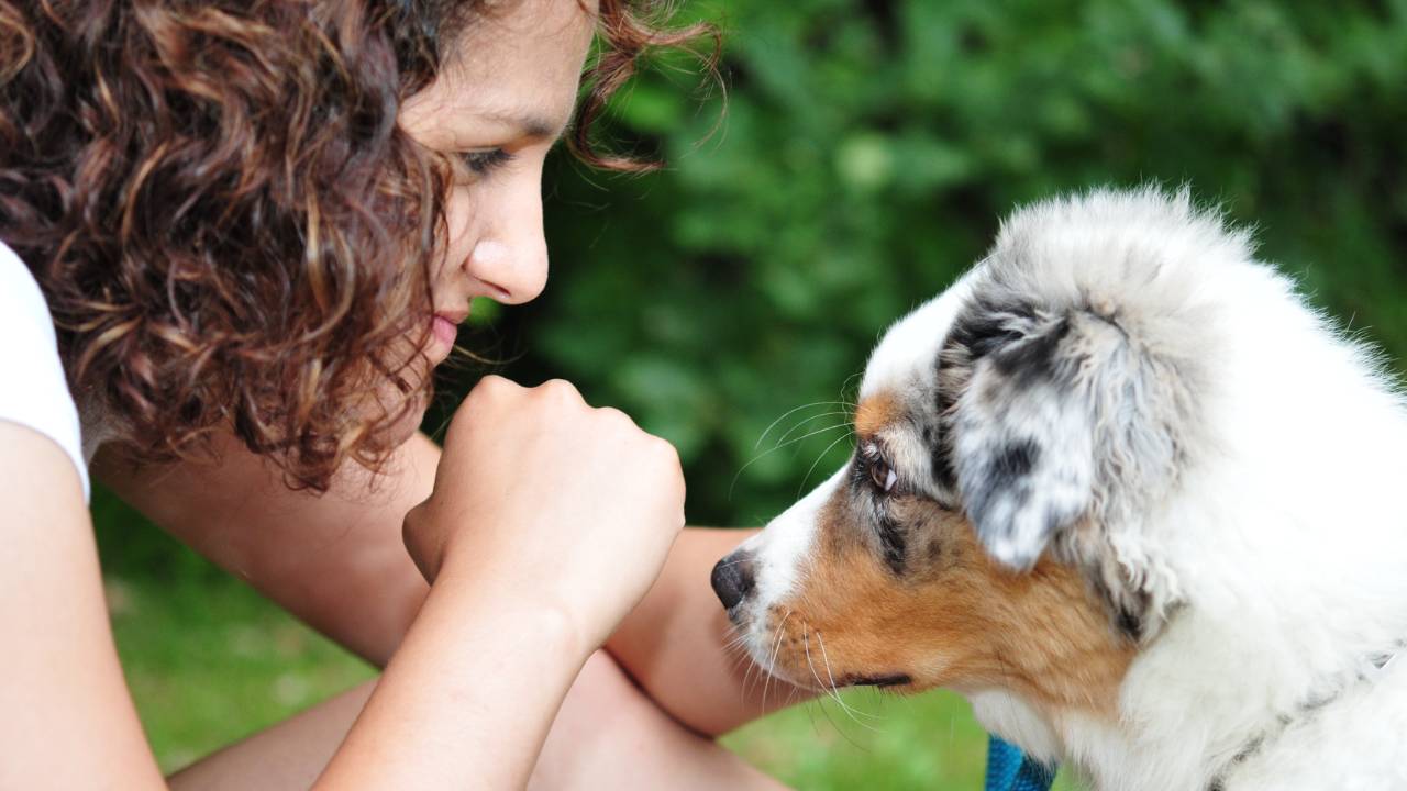 Animal Communication – What it’s like to talk to animals (Part 1)