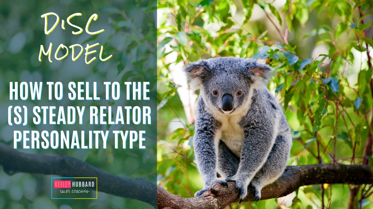 How to Sell the Steady Relator Personality Type 🐨 (DiSC Model)