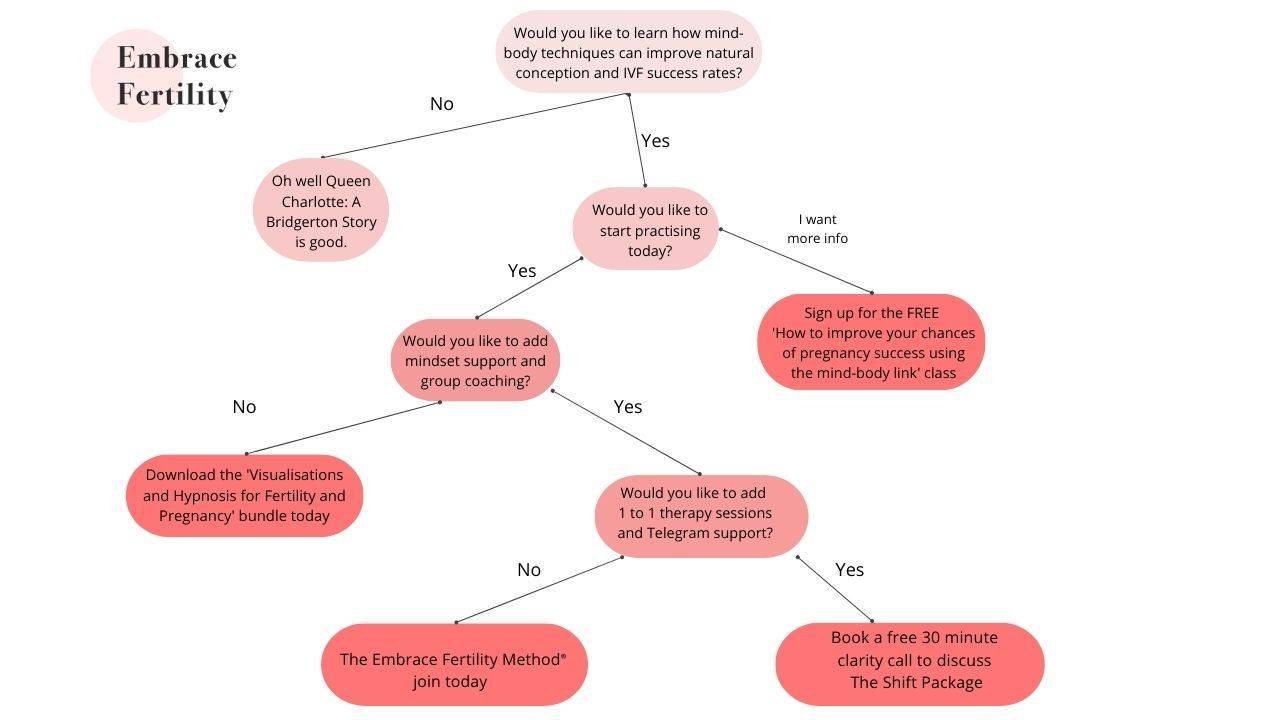 What support does Embrace Fertility Offer?