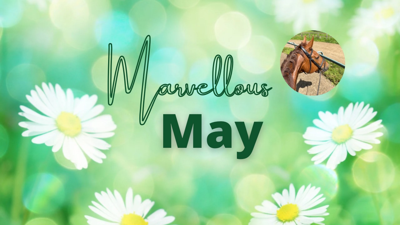 Marvellous May