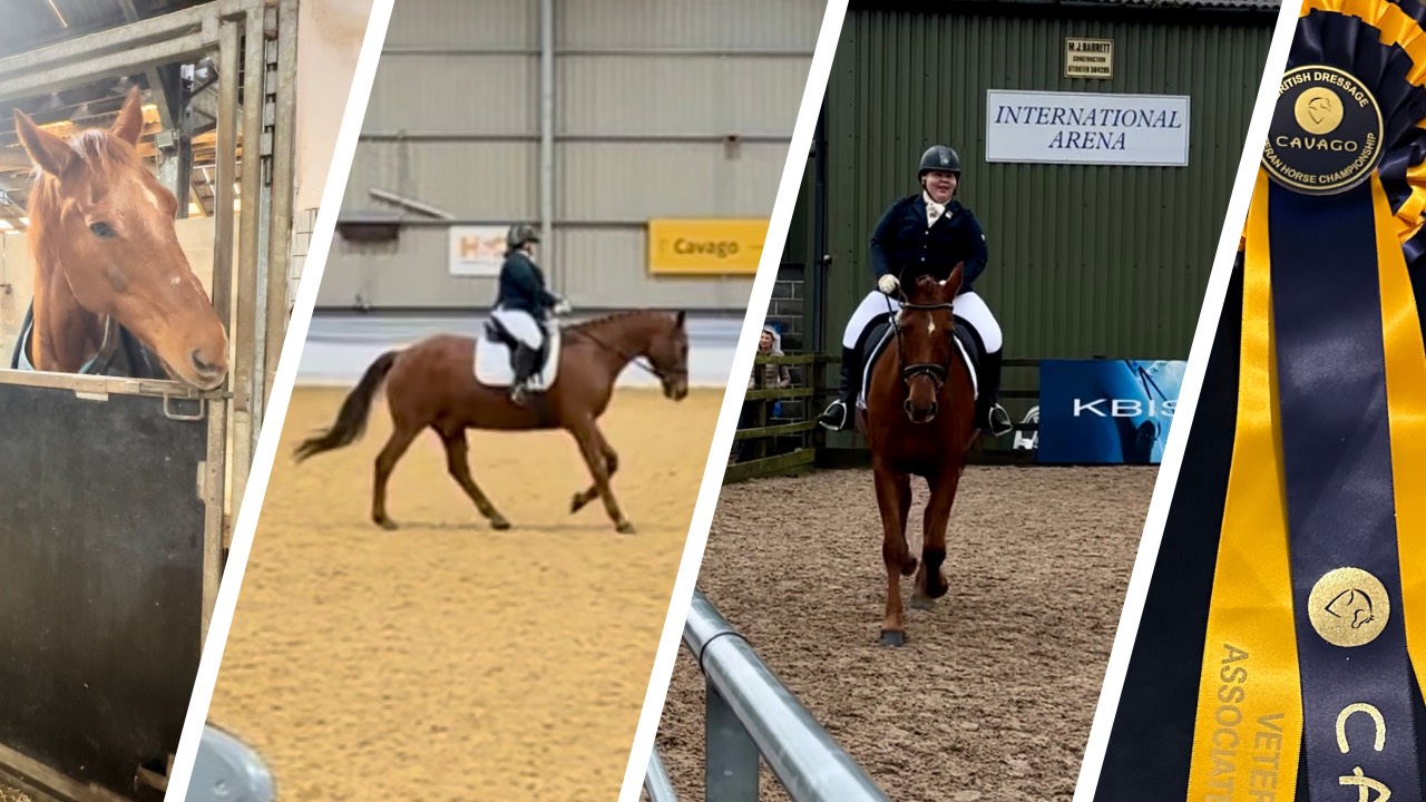 Cavago BD Associated Championships