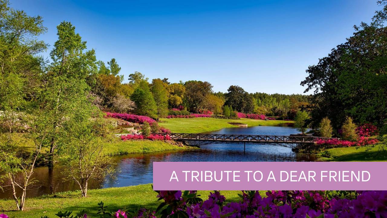 A Tribute to a Dear Friend