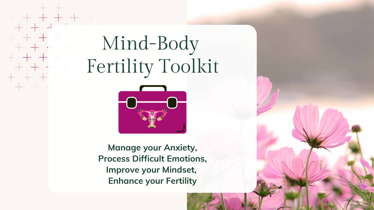 Mind-Body Fertility Toolkit | Free mini-course