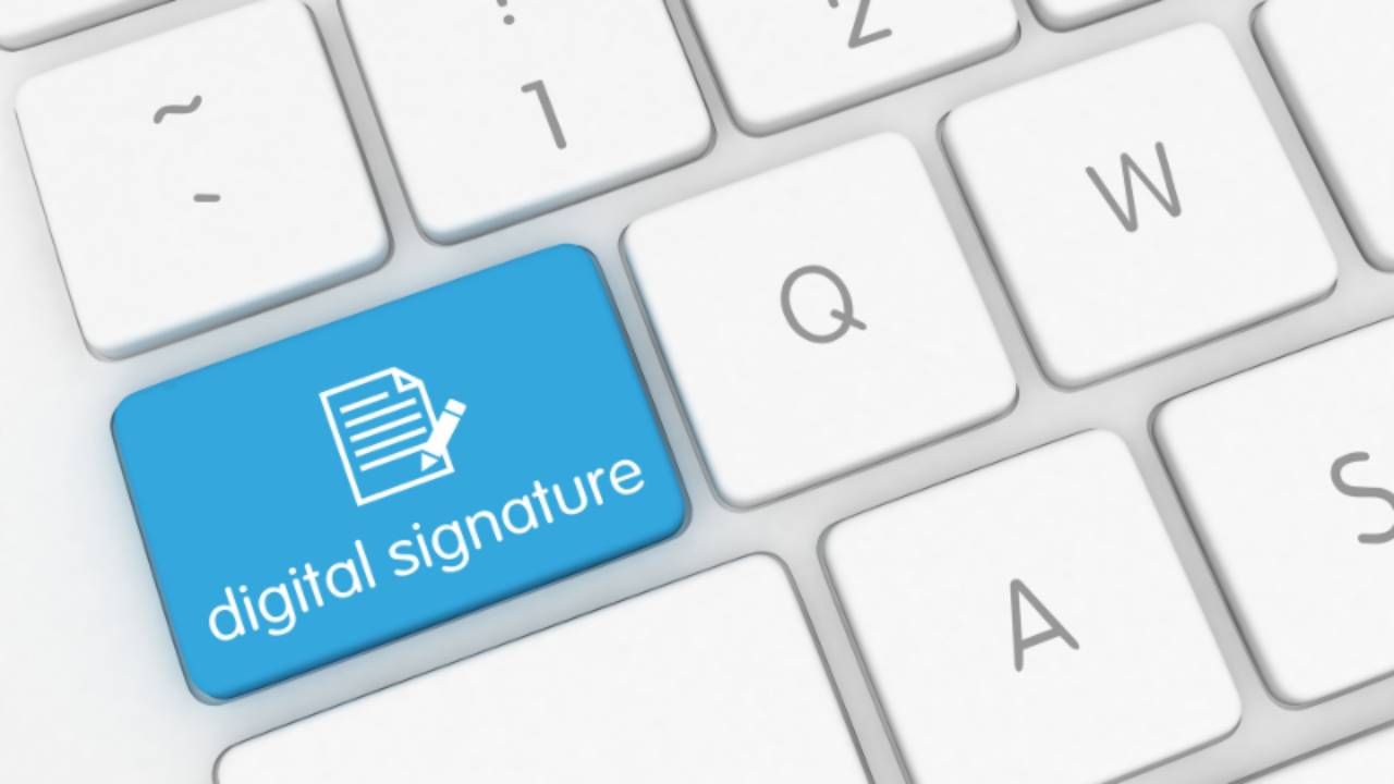 Digital Signatures and Cyber Security