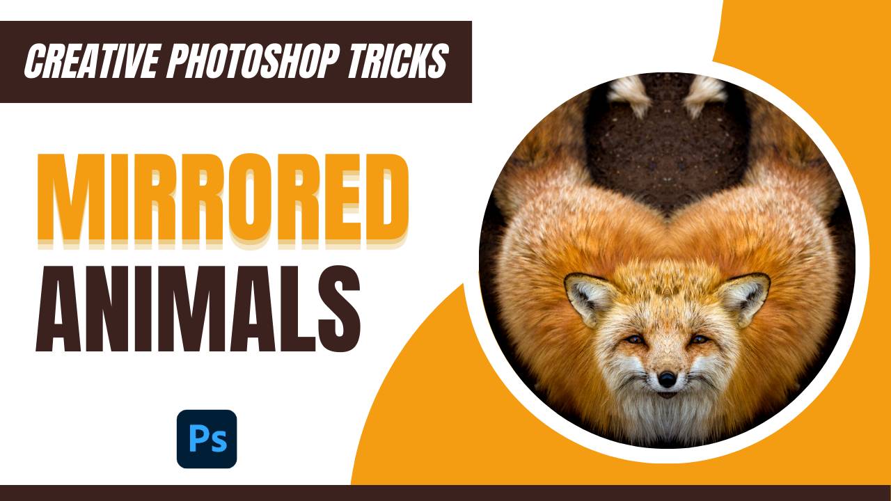 Mirrored animals: Create surreal monsters from animal photos