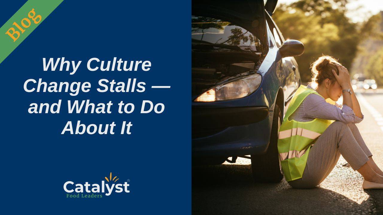 Why Culture Change Stalls — and What to Do About It