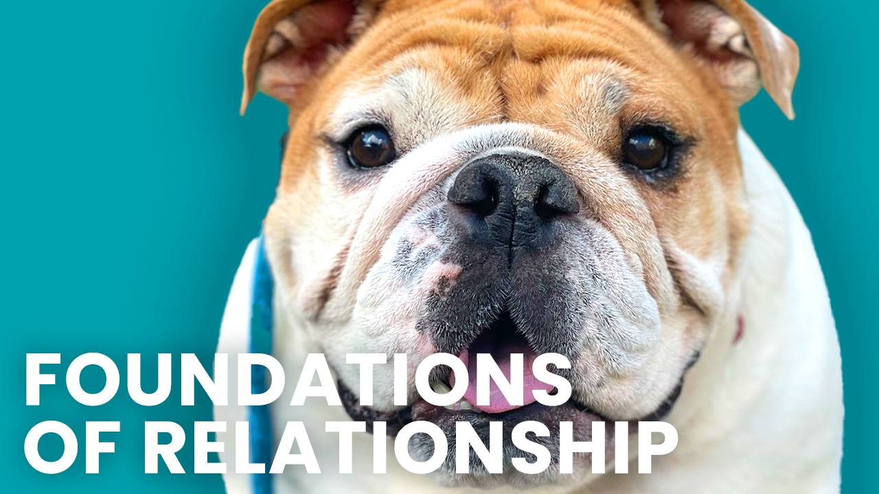 Foundations of Relationship Training Course