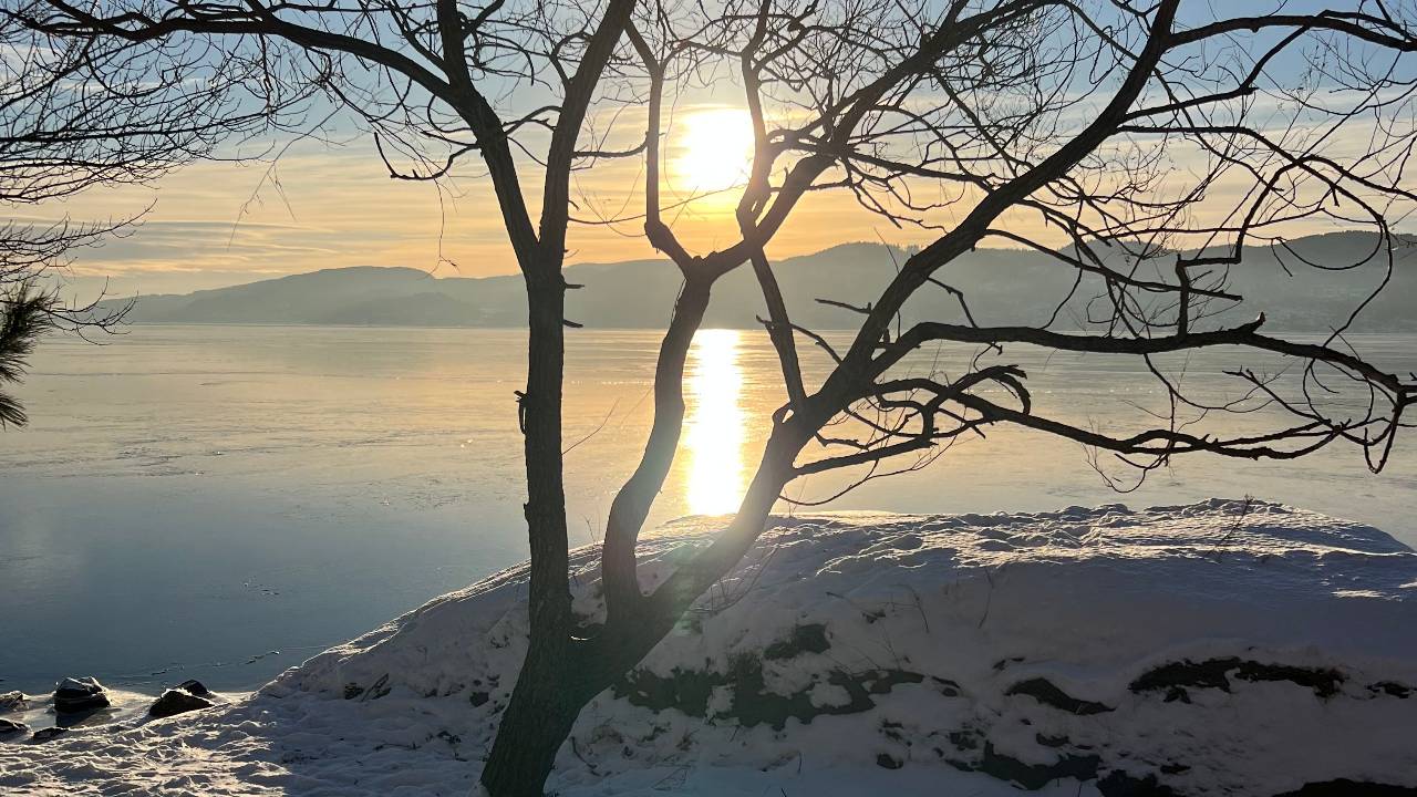 Hvordan bruke egen refleksjon som verktøy til vekst?