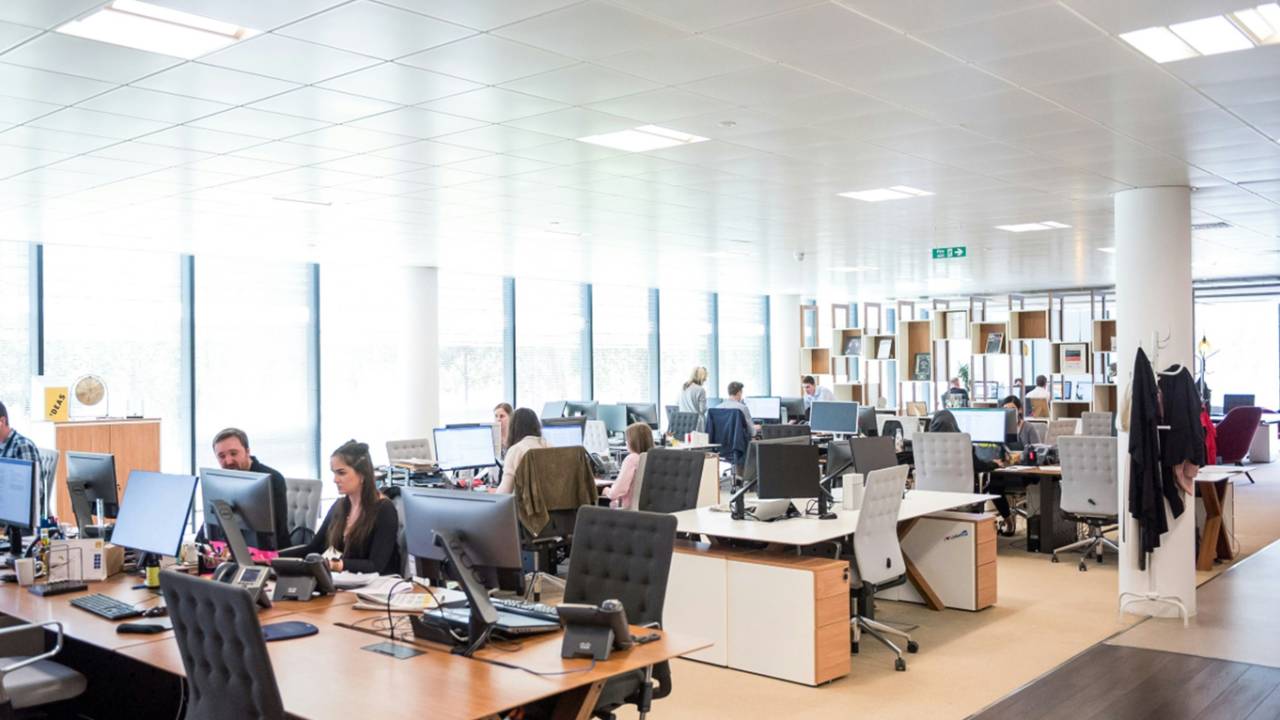 Career Paths in Shore-Based Maritime Shipping
