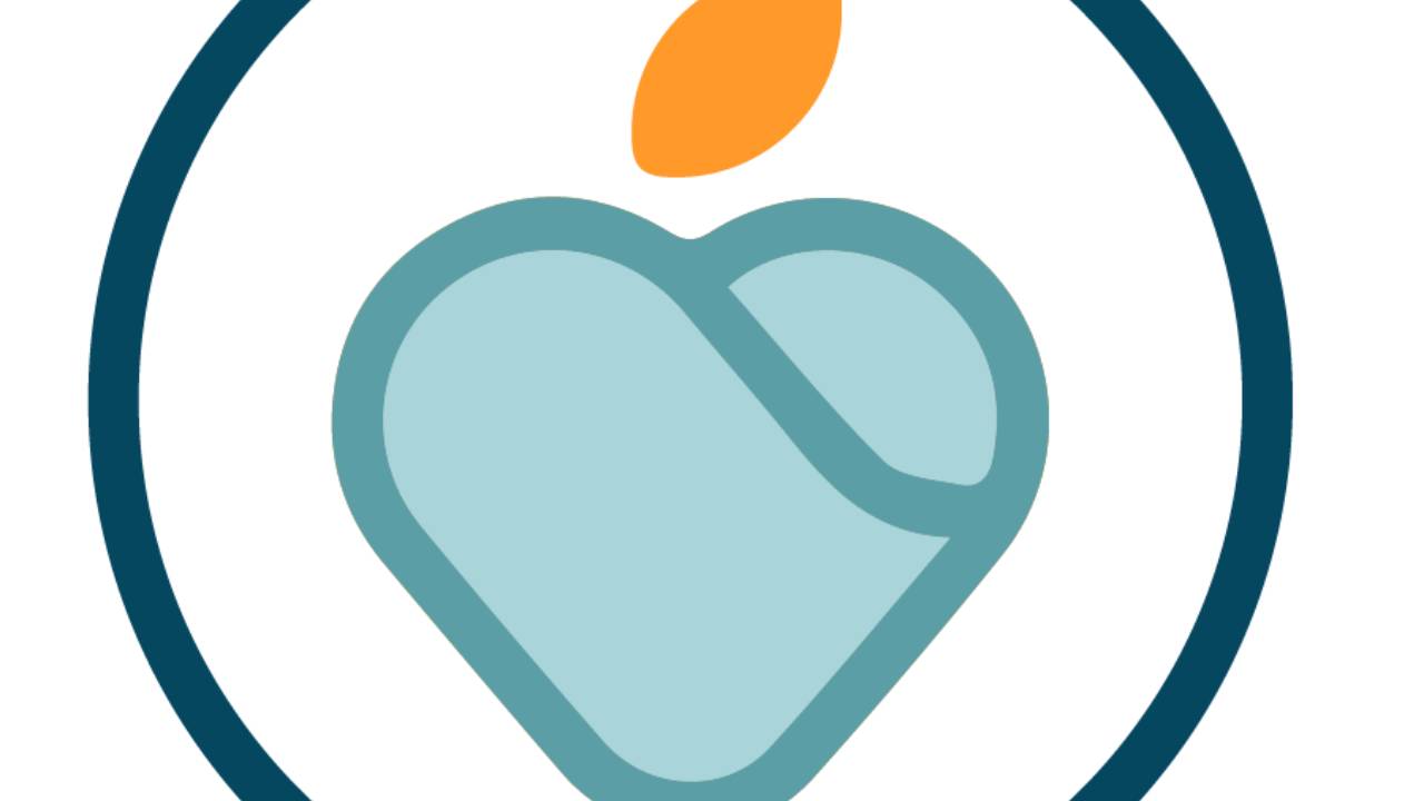 T1D Nutrition | WDD Recipe Guide [2023] | Type 1 Diabetes