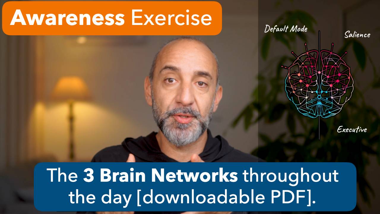 Awareness Exercise: 3 Brain Networks throughout the day [PDF]