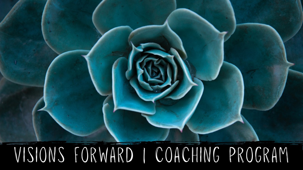 Visions Forward Coaching Program