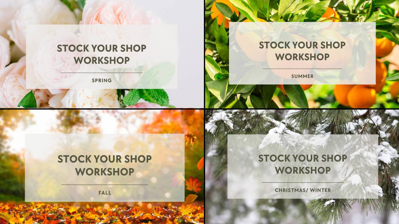 Stock Your Shop Workshop Bundle
