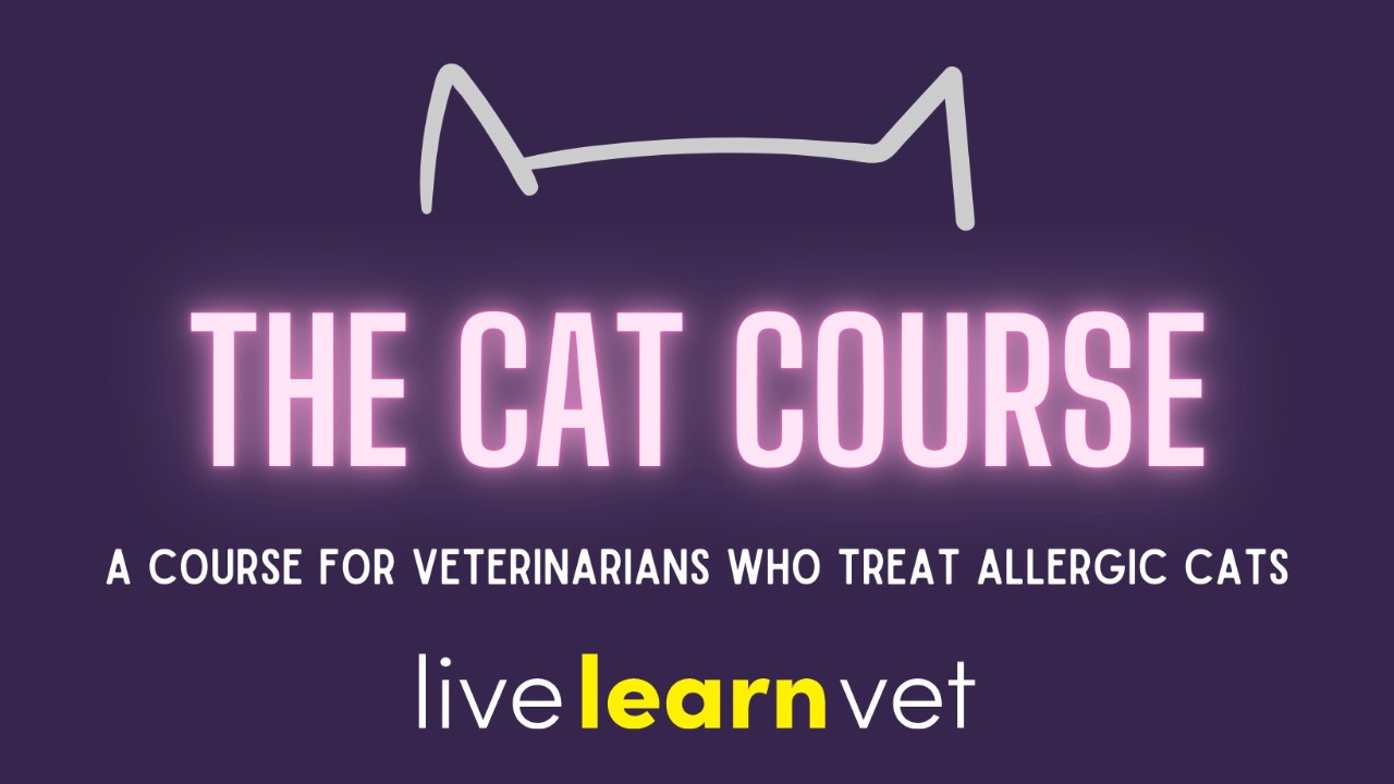 The Cat Course for veterinarians who treat allergic cats