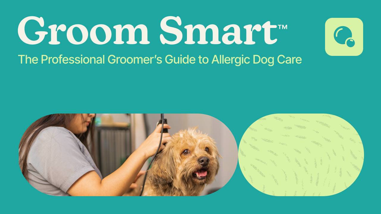 Allergic Dog Grooming Course | Practical Skills for Groomers