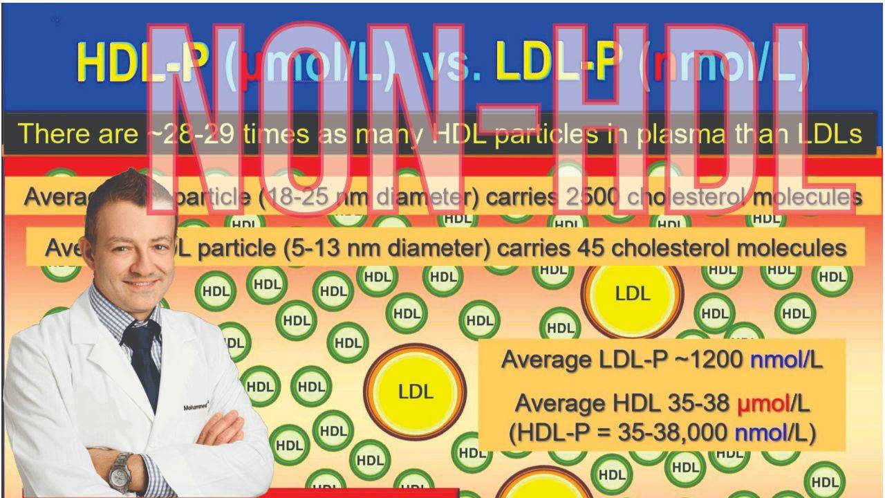 Non-HDL Cholesterol High