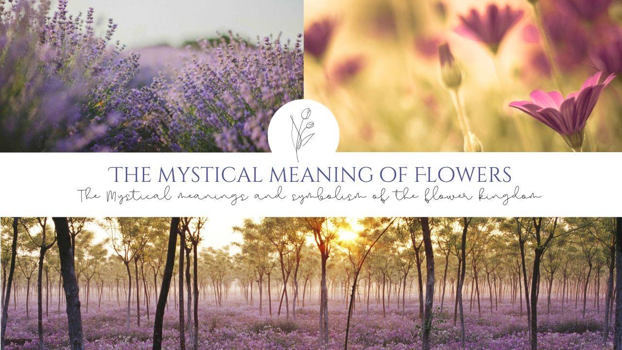 Mystical Meaning of Flowers | Flower symbolism