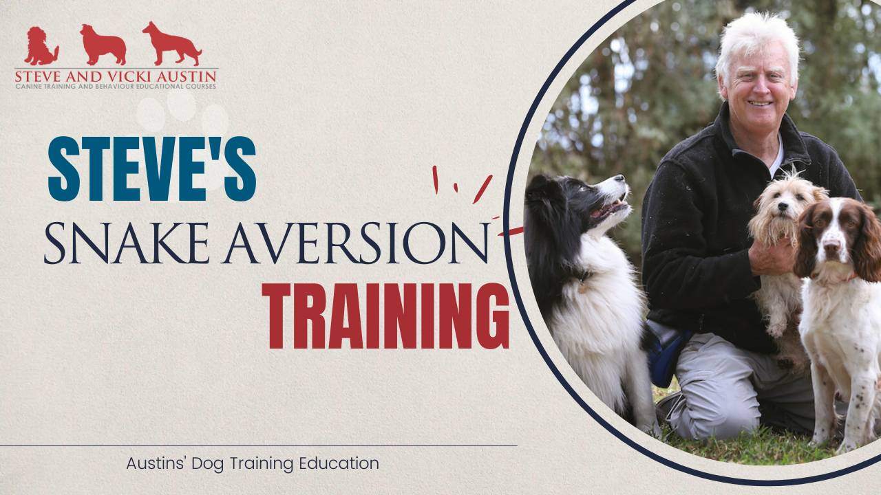 Snake Aversion Training