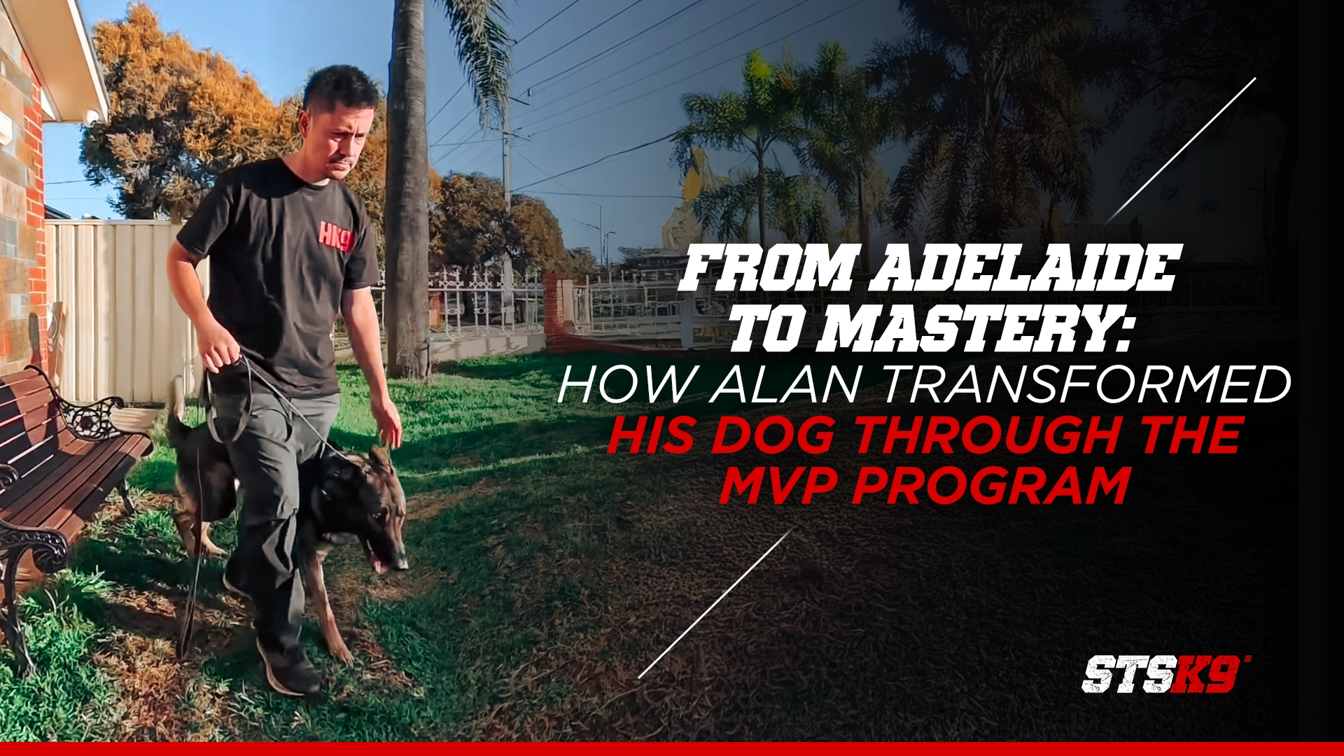 How Alan Transformed His Dog Through the MVP Program