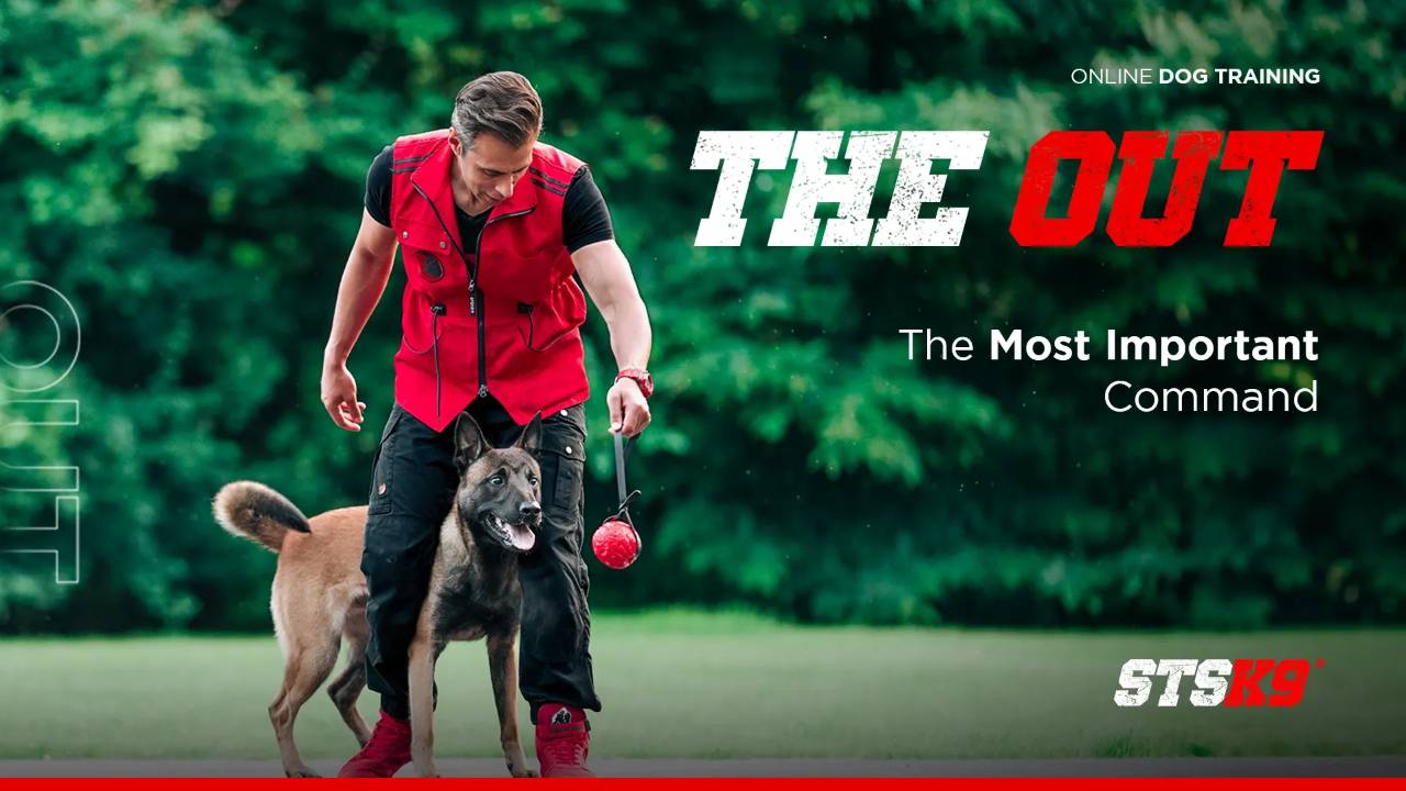 Develop the Perfect Out