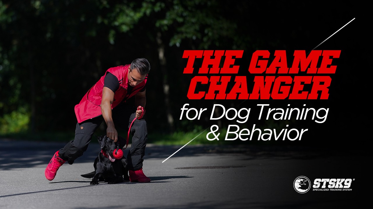 The Game Changer for Dog Training & Behavior