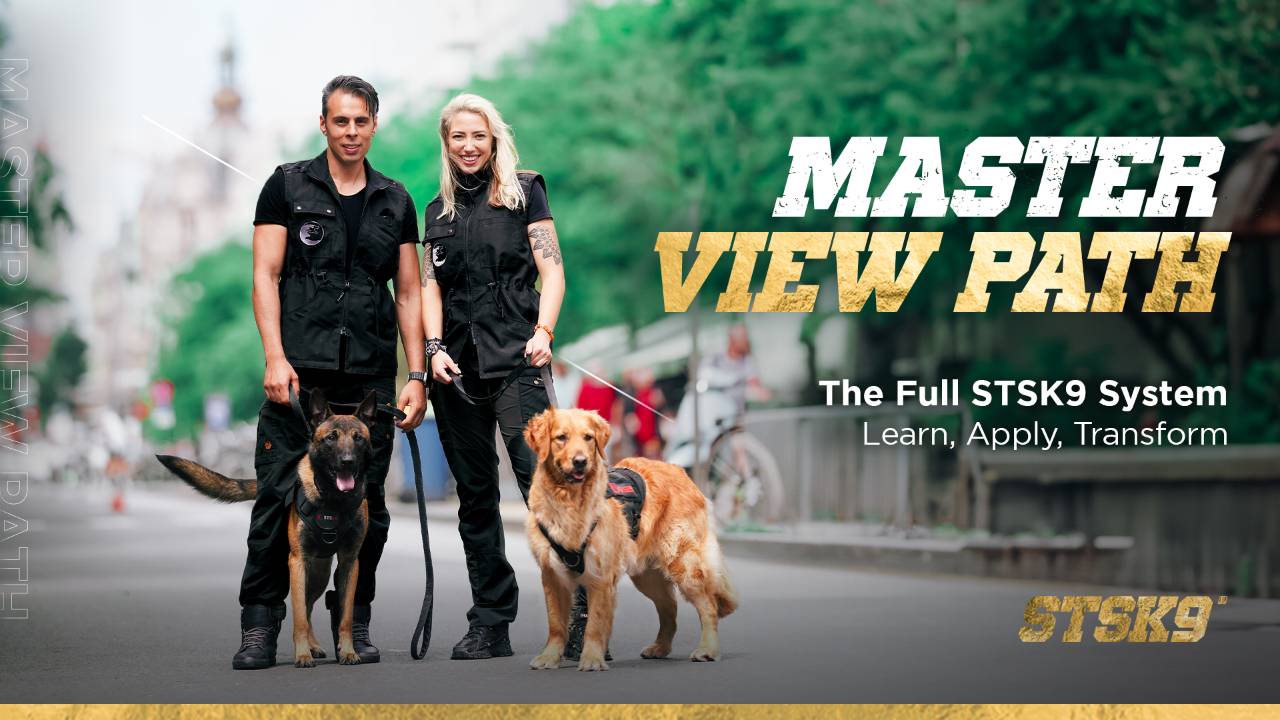 STSK9 Master View Path Dog Training Program