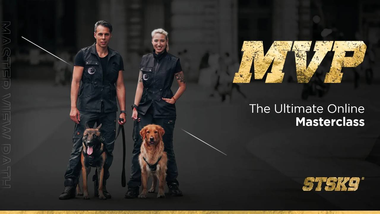 STSK9 Master View Path Dog Training Program