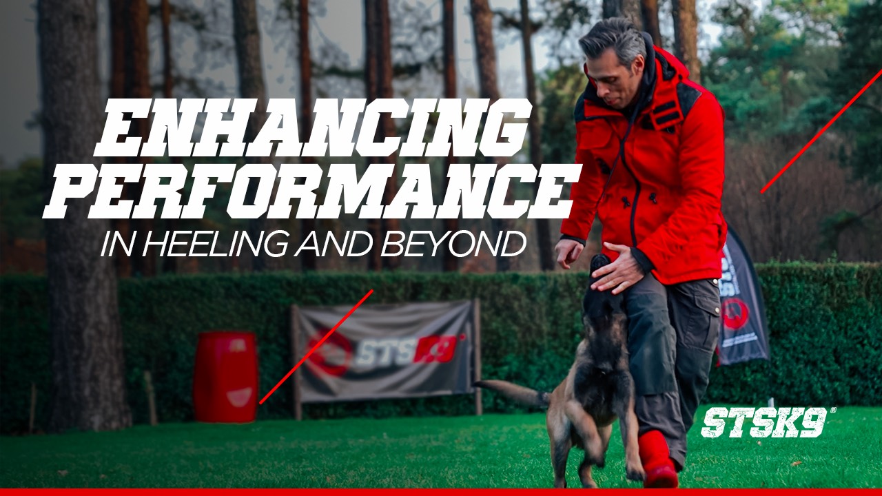 Enhancing Performance in Heeling and Beyond