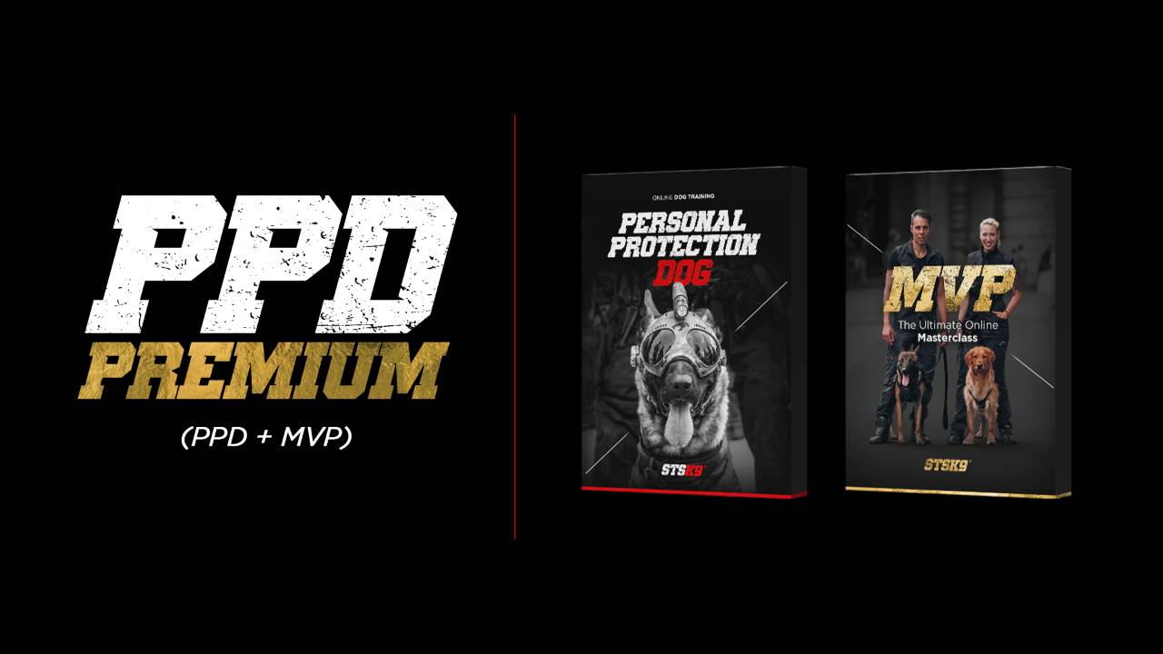 PPD Premium (MVP + PPD Program Bundle)