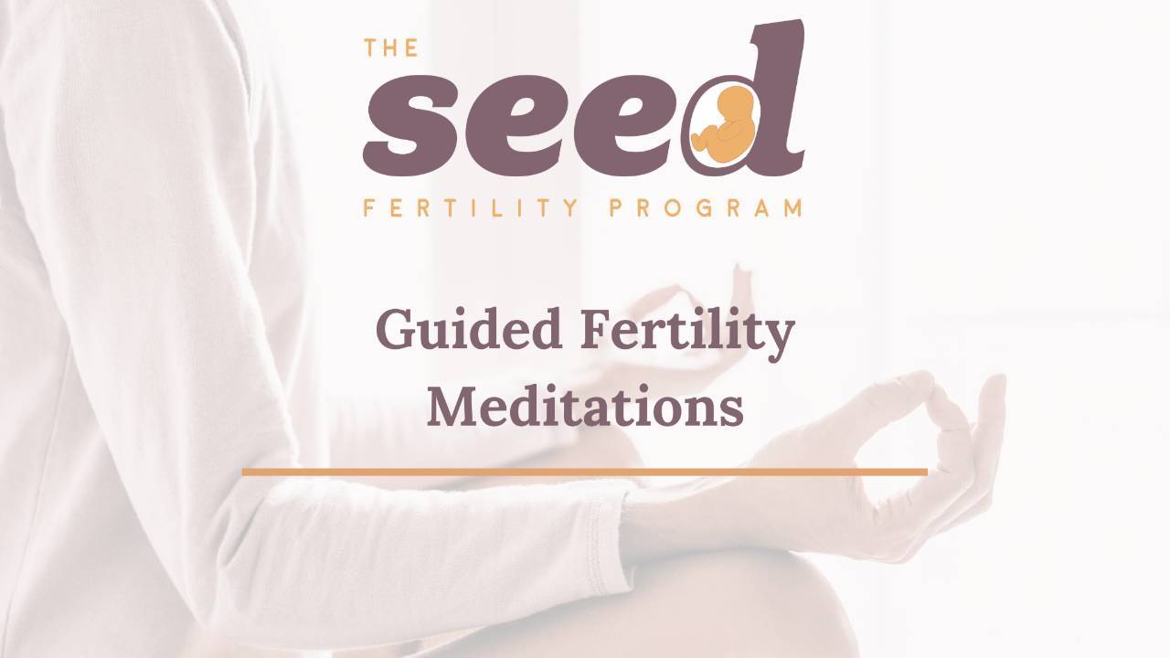 Guided Fertility Meditations- Including An Embryo Transfer Meditation