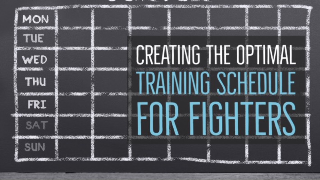 Creating an Optimal Training Schedule for MMA Fighters