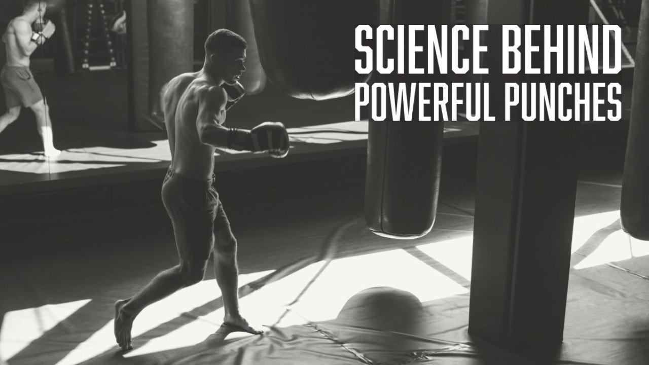The Science Behind Powerful Punches: Unleashing Your Full Potential
