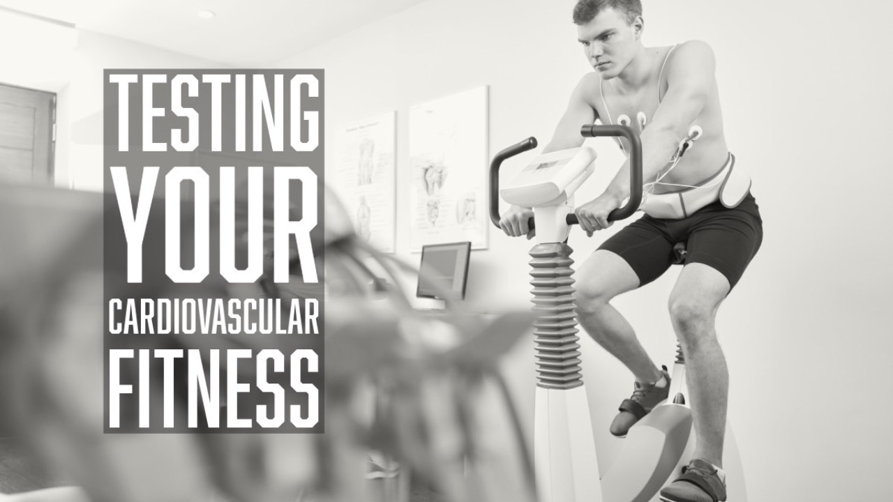 Assessing a Fighter’s Cardio: Aerobic vs. Anaerobic Needs