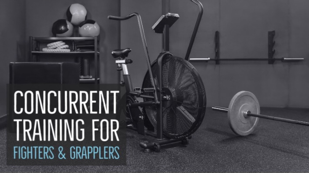 Concurrent Training for Fighters and Grapplers: Boost Performance