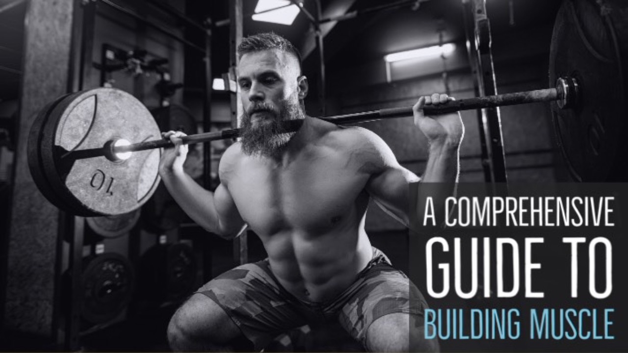 Muscle Building 101: A Comprehensive Guide for Combat Athletes