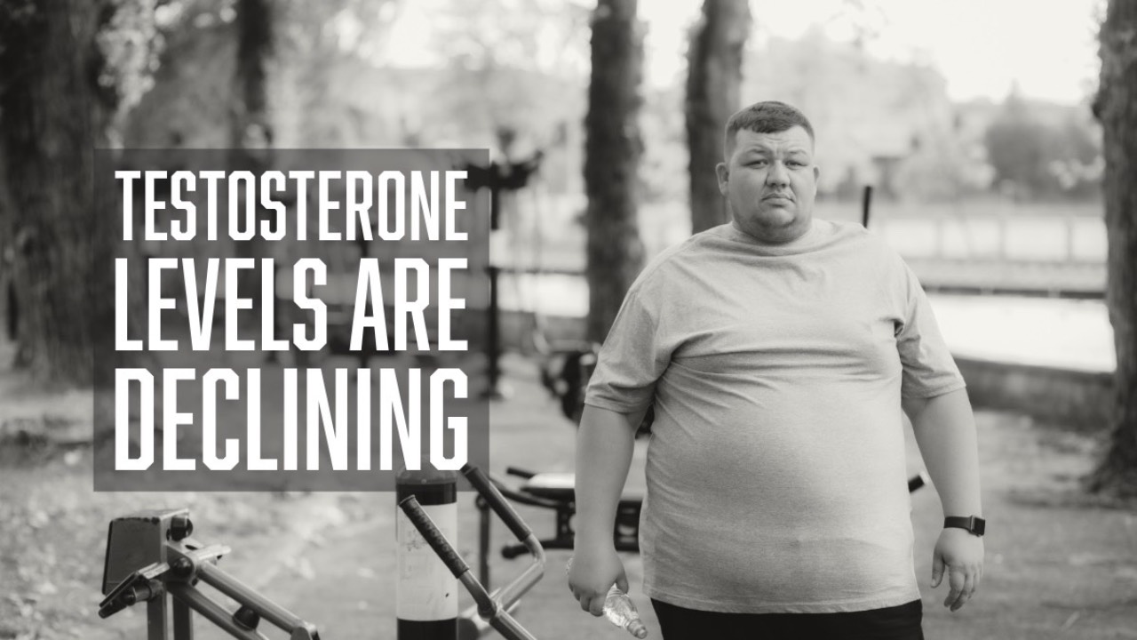 Testosterone Levels Are Declining: Causes, and How Restore Balance