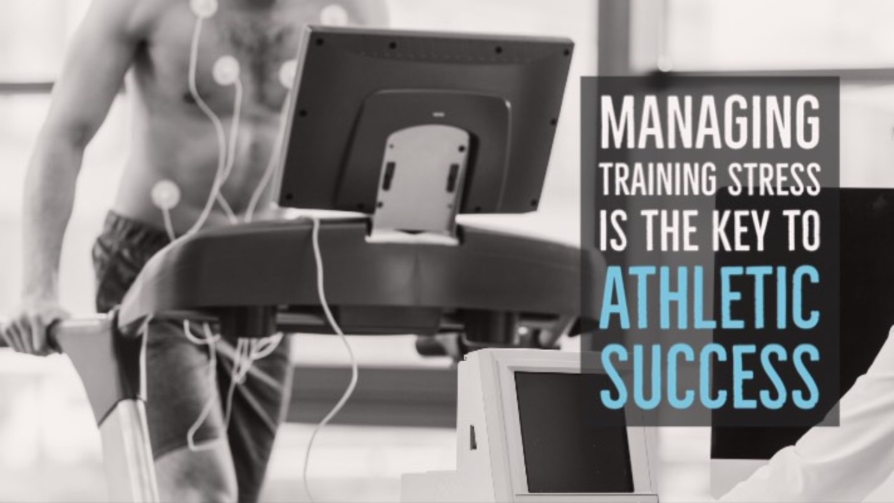Mastering Training Stress: The Key to Athletic Success