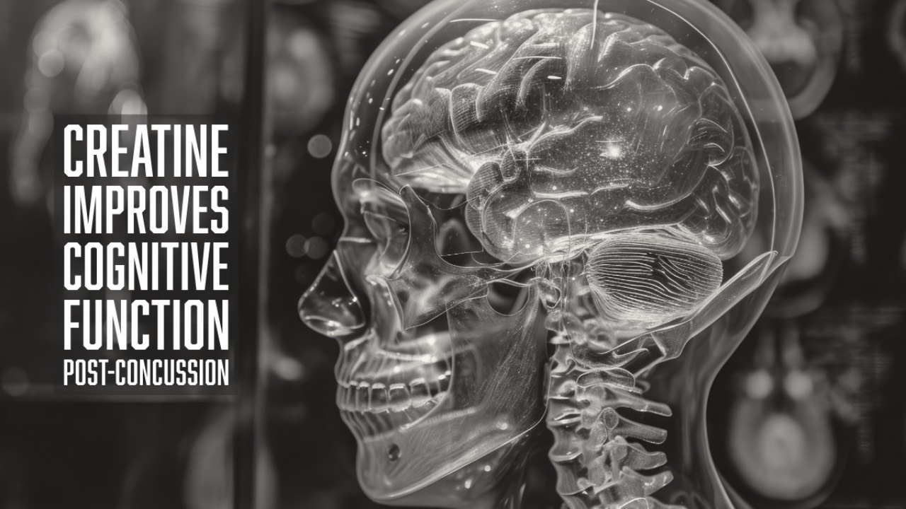How Creatine Improves Cognitive Function Post Concussion