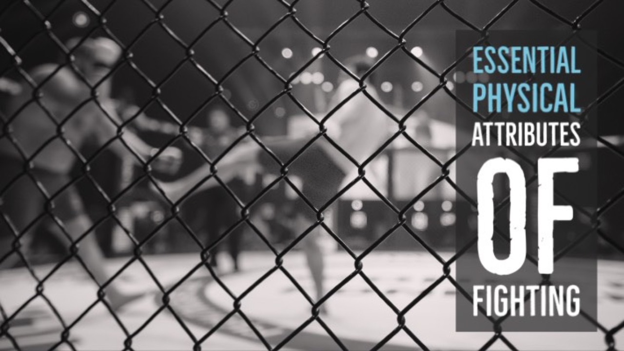 Master the Art of Fighting with Essential Physical Attributes