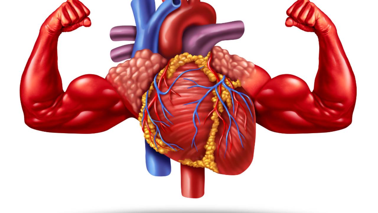 Spring into Recovery: Essential Muscle Healing Techniques