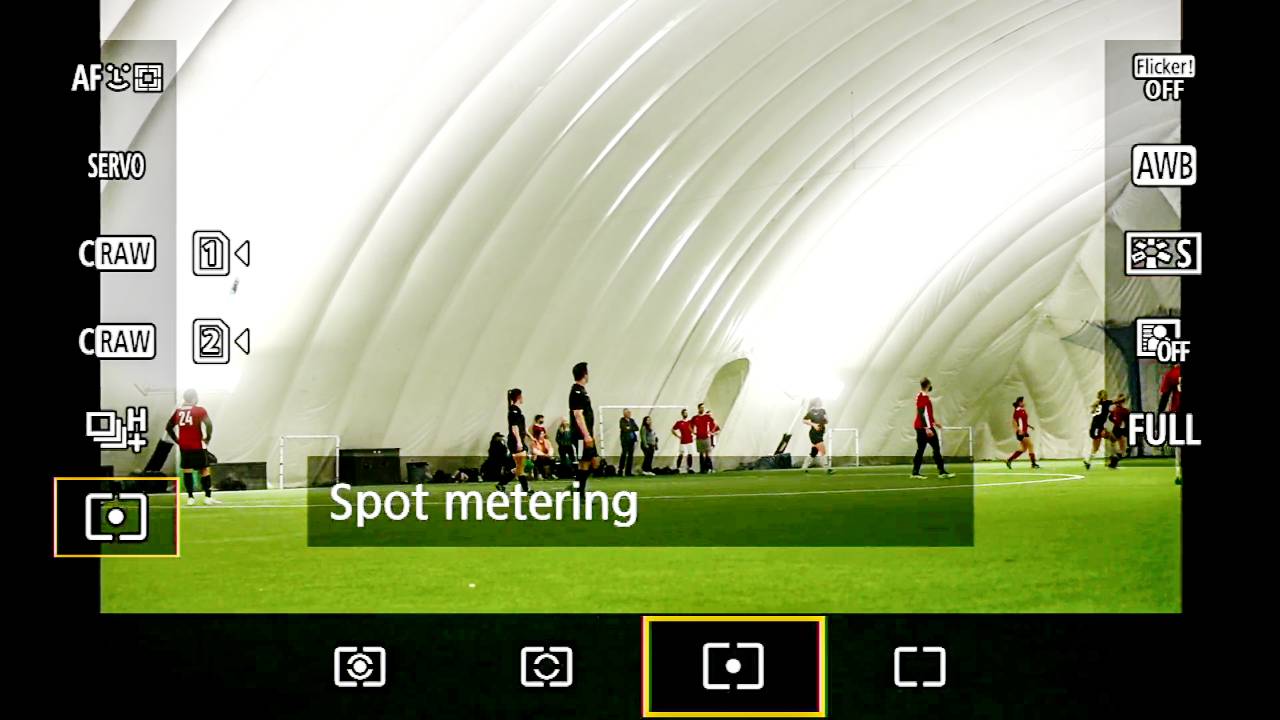 Easy Camera Tricks: How to Use Auto ISO and Spot Metering