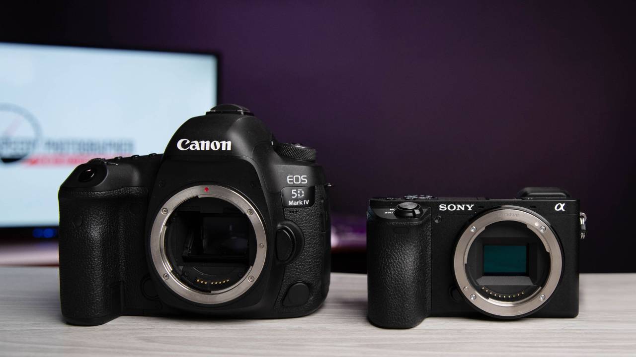 Exploring the Truth: DSLR vs. Mirrorless Cameras