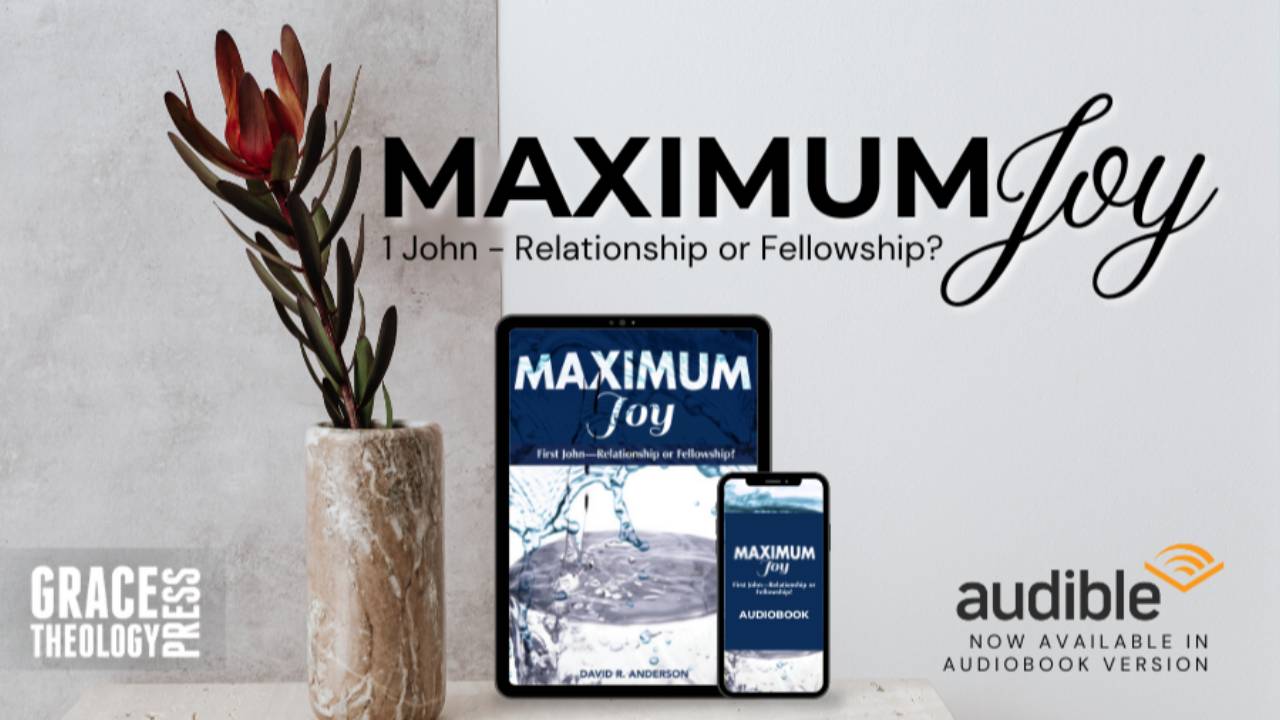 Maximum Joy Audiobook